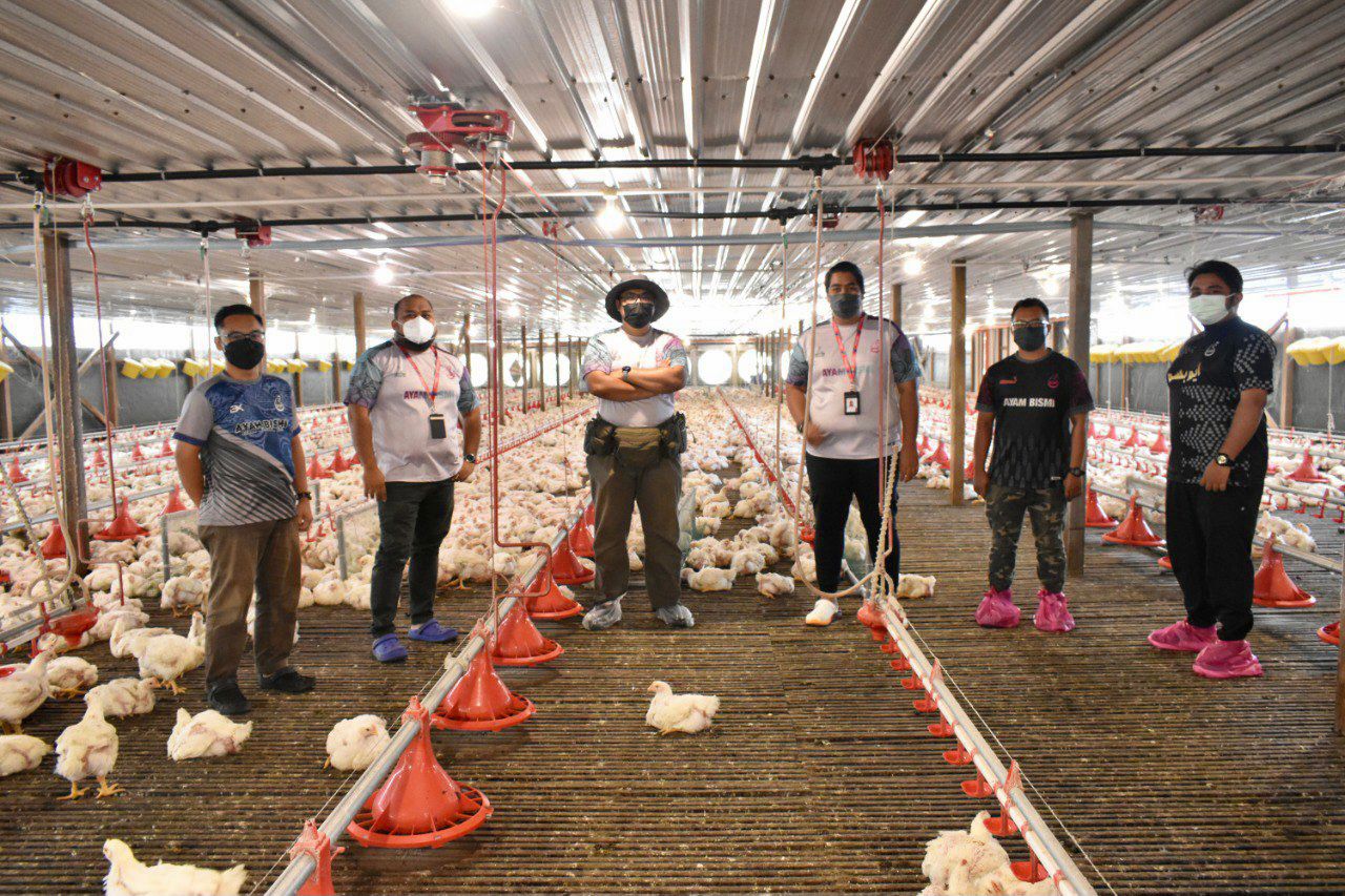 𝐀𝐲𝐚𝐦 𝐥𝐞𝐛𝐢𝐡 ‘𝐬𝐢𝐡𝐚𝐭’, ‘𝐛𝐚𝐡𝐚𝐠𝐢𝐚’ 𝐝𝐚𝐥𝐚𝐦 𝐫𝐞𝐛𝐚𝐧 '𝐛𝐞𝐫𝐡𝐚𝐰𝐚 𝐝𝐢𝐧𝐠𝐢𝐧' - Ayam Halal ...